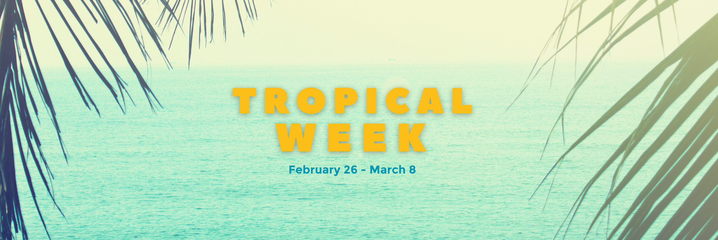 Tropical Week – Barr Hill
